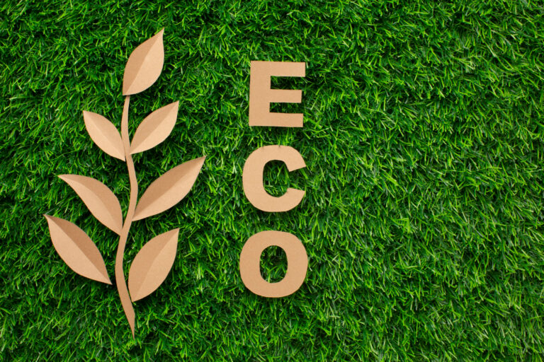 Why Being Eco-conscious Matters: How Your Choices Impact the Planet