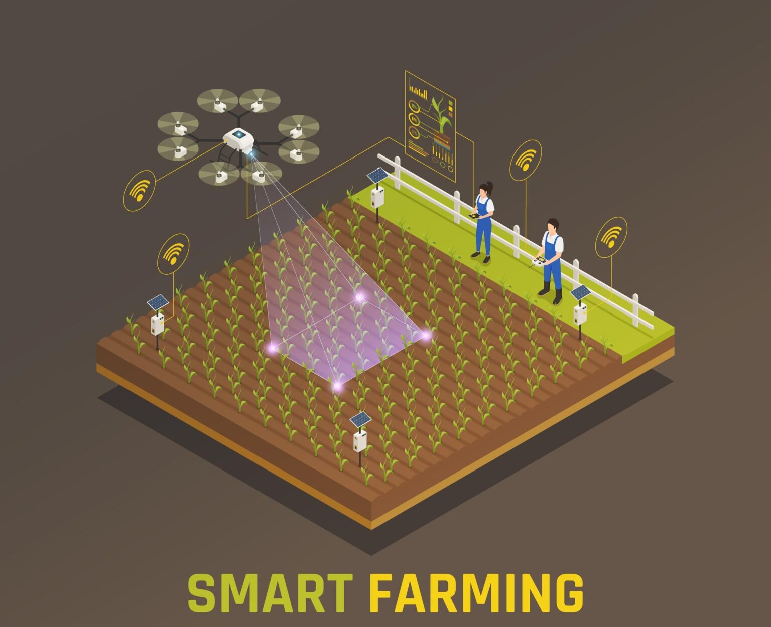 Development of IoT-Based Smart Irrigation Systems for Optimizing Water ...